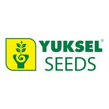 Varietes from Yuksel | Paramount Seeds Inc