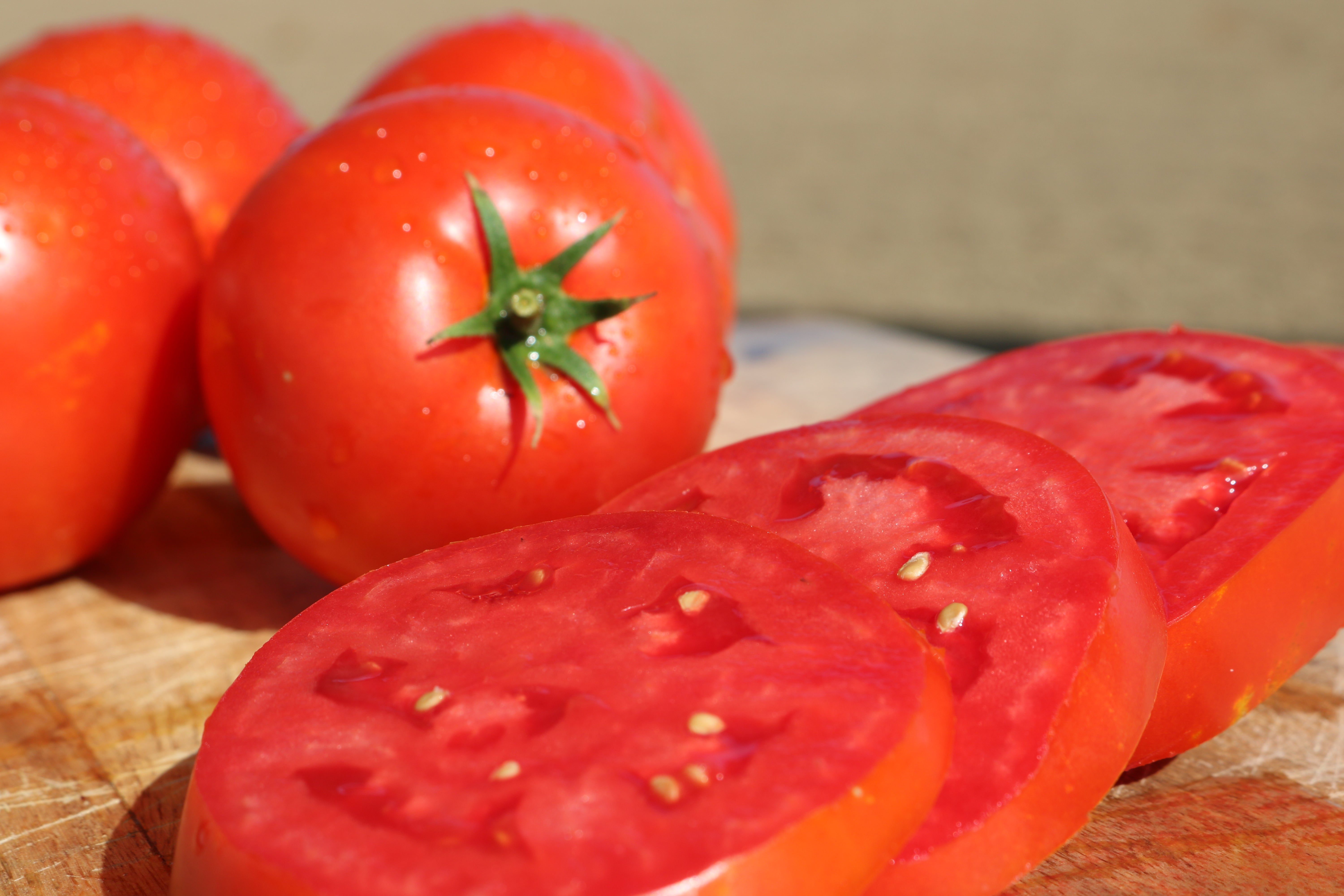 Big Beef PLUS F1 Beefsteak Tomato – Paramount Seeds Inc