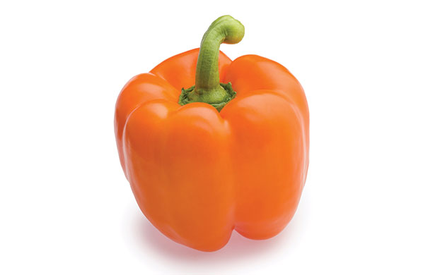 Raptor F1 Orange Bell Pepper | Paramount Seeds Inc