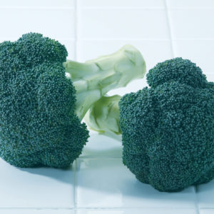 Broccoli - Green Magic (F1) | Paramount Seeds Inc