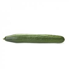 Winmar RZ (24-226) Long Dutch Cucumber | Paramount Seeds Inc