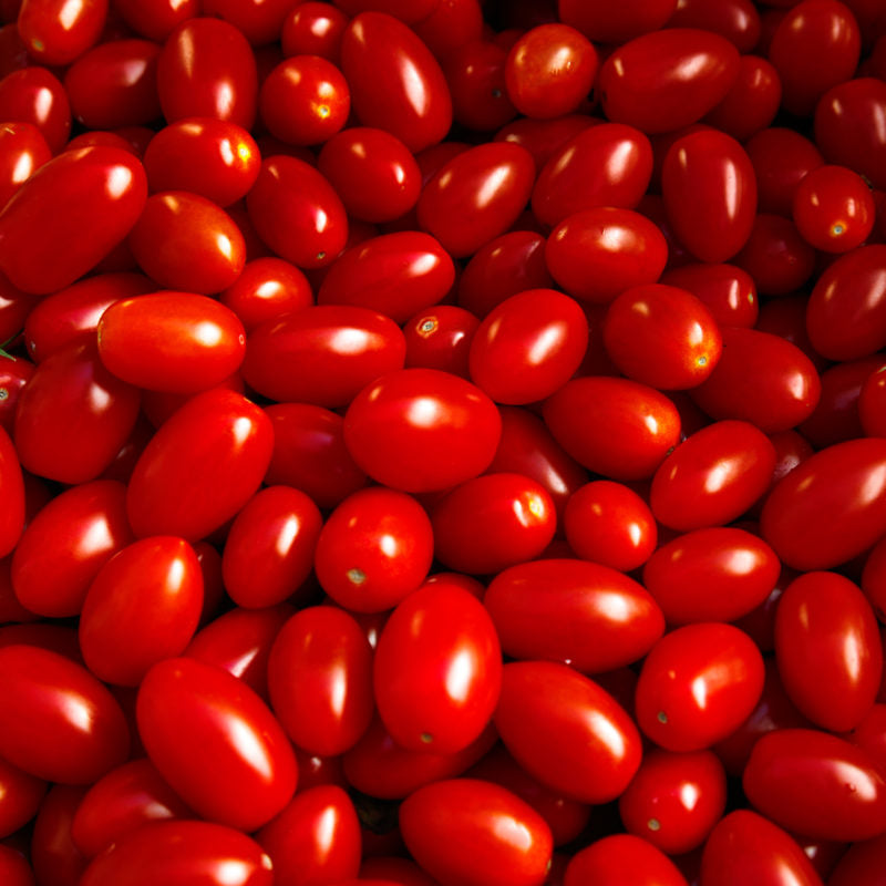 Ruby Crush F1 Cherry Tomato | Paramount Seeds Inc