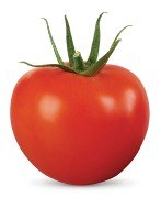 Tycoon F1 Beefsteak Tomato (TY) – Paramount Seeds Inc